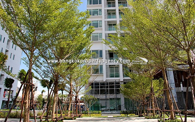 1 Bed condo for rent: 40 sqm, ฿16500, TC Green Rama 9 | Bangkok ...